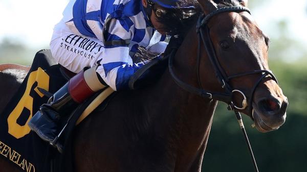 Bracket Buster | America's Best Racing