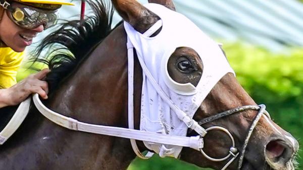 Cilla | America's Best Racing