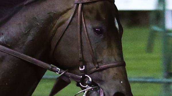 Ax Man | America's Best Racing