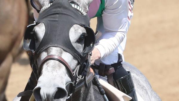 Batten Down | America's Best Racing