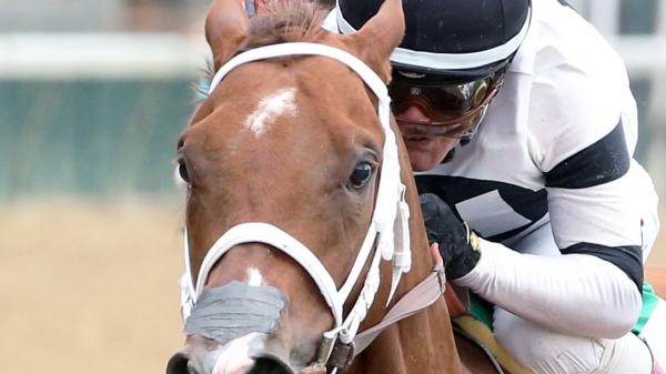 Ben Diesel | America's Best Racing