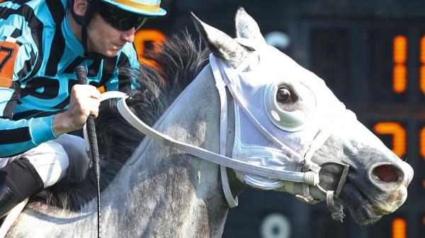 Bizzee Channel | America's Best Racing