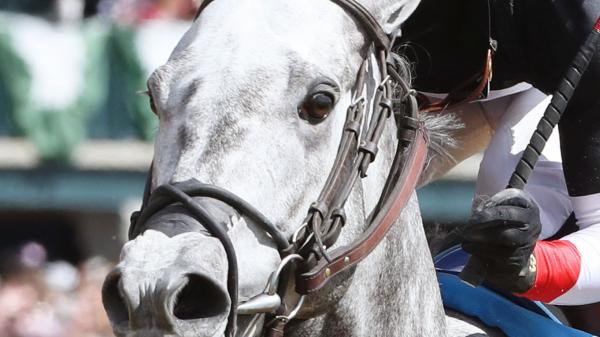 Bo Cruz | America's Best Racing