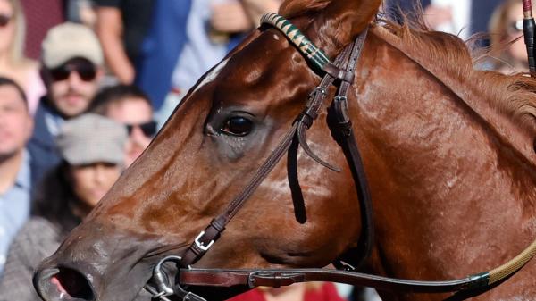 Brunacini | America's Best Racing