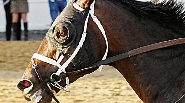 Balboa | America's Best Racing