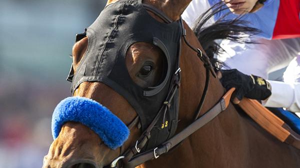 Barnes | America's Best Racing