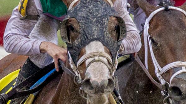 Bonny South | America's Best Racing