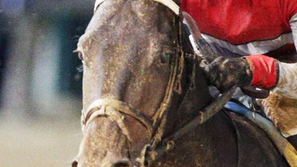 Call Me Midnight | America's Best Racing