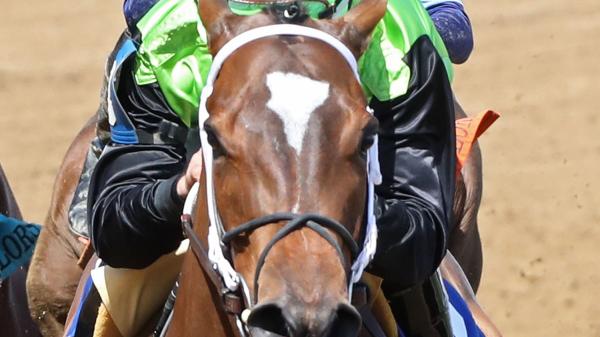 Clearly Unhinged | America's Best Racing