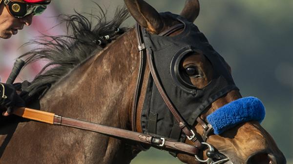 Cavalieri | America's Best Racing