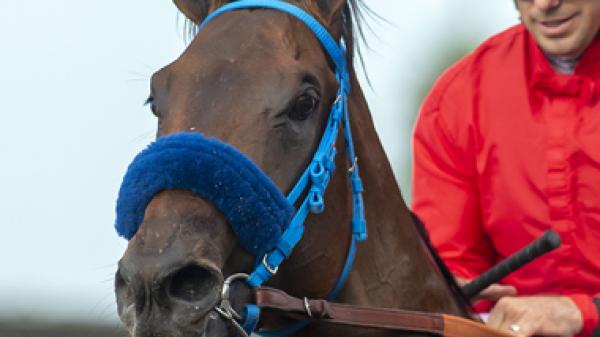 Collusion Illusion | America's Best Racing