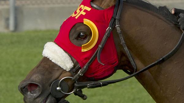 Count Again | America's Best Racing