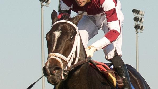 Cy Fair | America's Best Racing