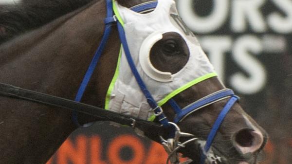 Lucky Score | America's Best Racing