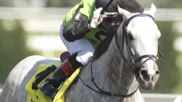 Tyson | America's Best Racing