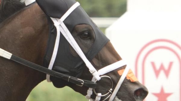 Mansetti | America's Best Racing