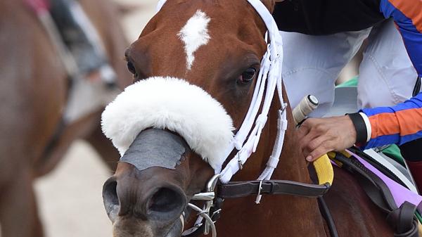 Drain the Clock | America's Best Racing