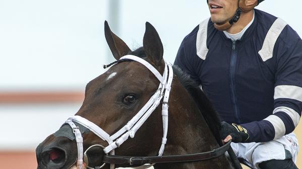 Endlessly | America's Best Racing