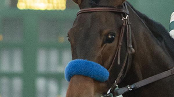 Faiza | America's Best Racing