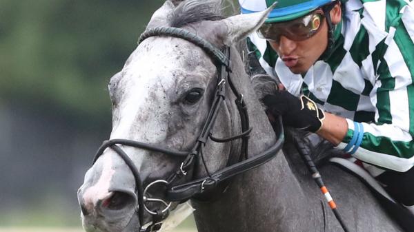 Flippant | America's Best Racing
