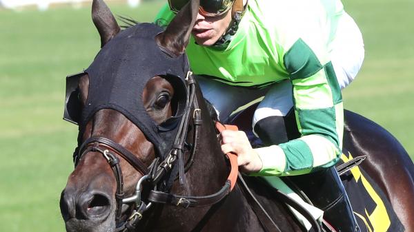 Flying Mohawk | America's Best Racing