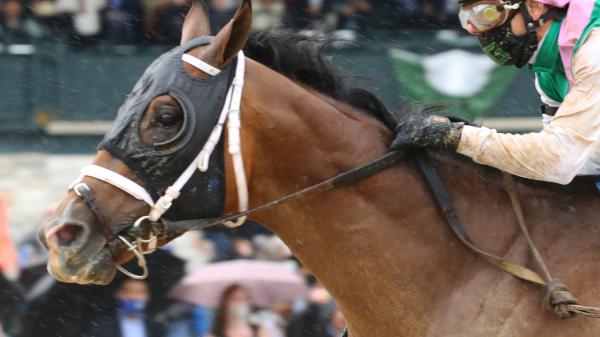 Fulsome | America's Best Racing