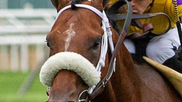 Far Bridge | America's Best Racing