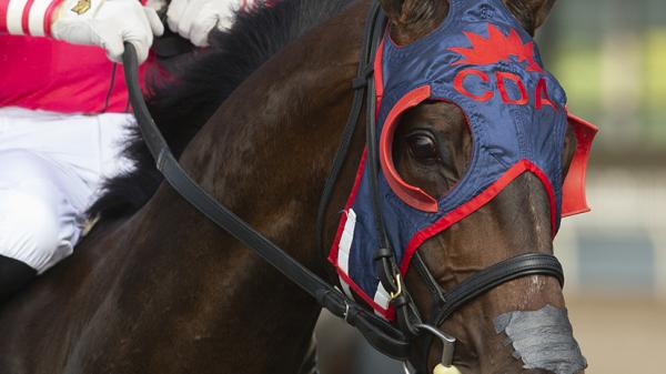 Fast Buck | America's Best Racing