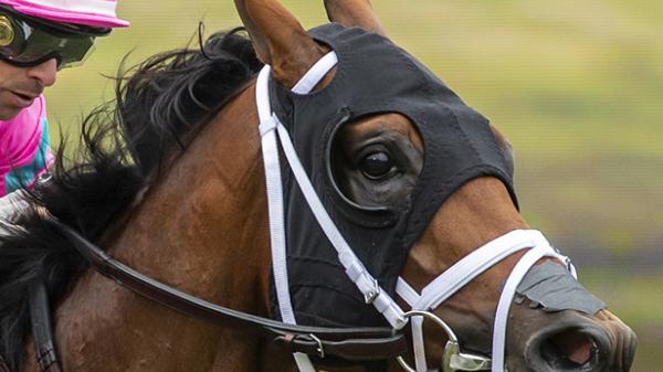 Formidable Man | America's Best Racing