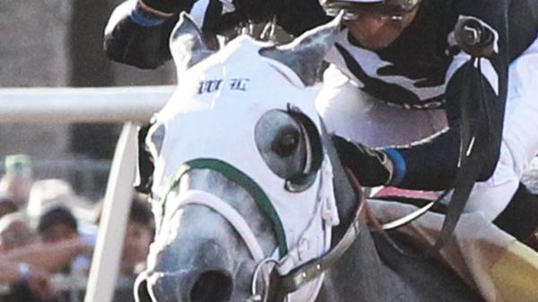 Caldera | America's Best Racing