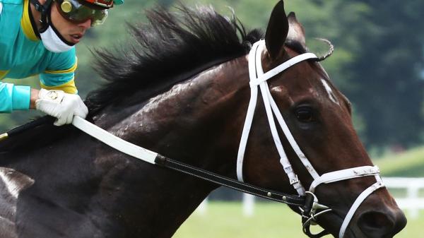 Glynn County | America's Best Racing