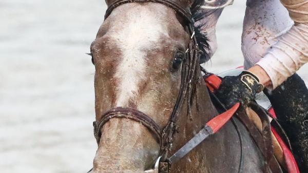 Hoosier Philly | America's Best Racing