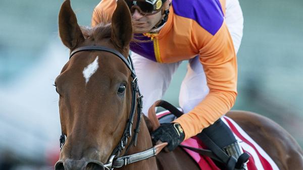 Kopion | America's Best Racing