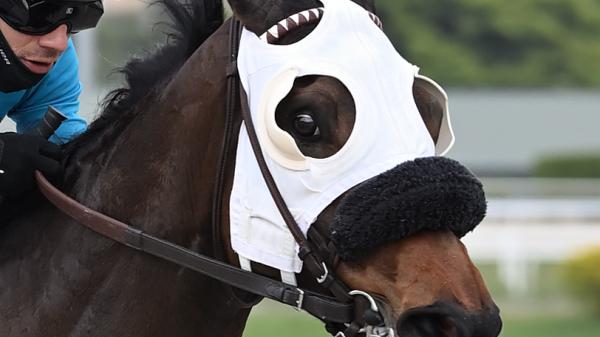 Lure Him In | America's Best Racing