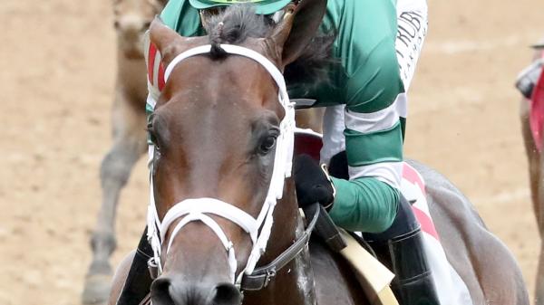 Mindframe | America's Best Racing