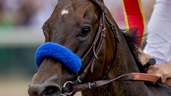 McKinzie | America's Best Racing
