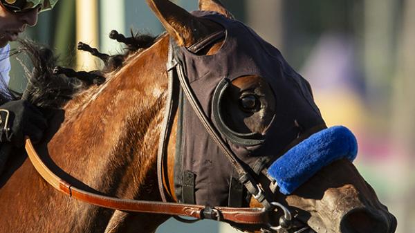 Muth | America's Best Racing