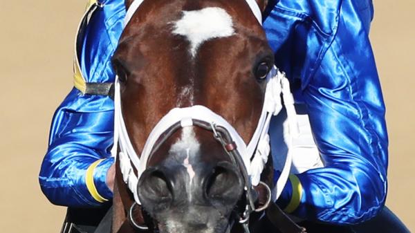 Nash | America's Best Racing