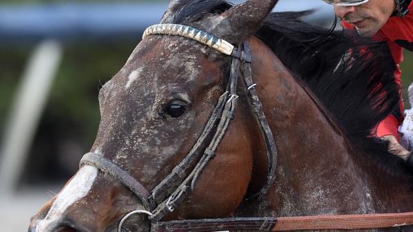 Nic's Style | America's Best Racing