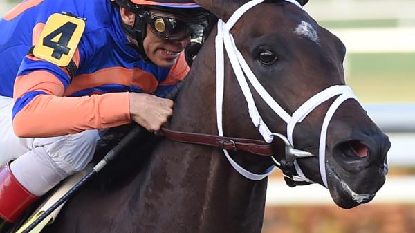 Noble Indy | America's Best Racing