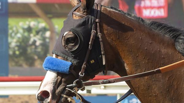 Nooni | America's Best Racing