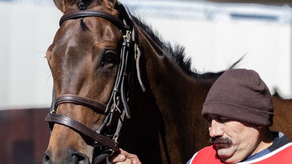 Nycon | America's Best Racing