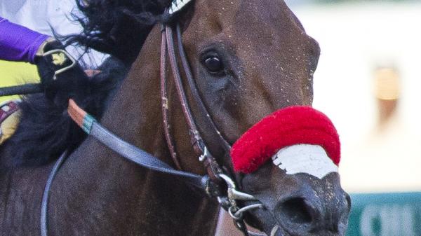 Nyquist | America's Best Racing