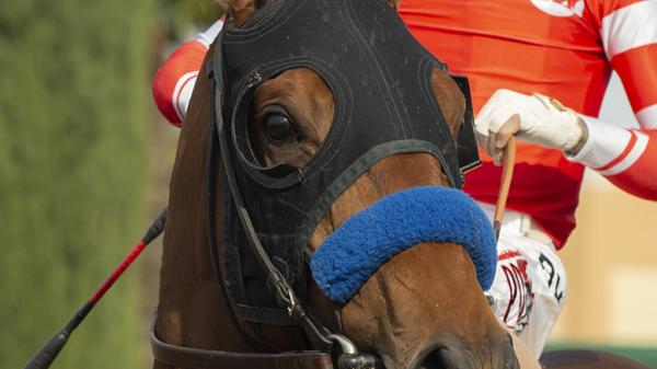 Practical Move | America's Best Racing