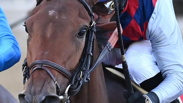 Pretty Ana | America's Best Racing