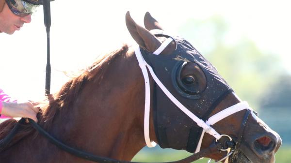 Rancho Santa Fe | America's Best Racing