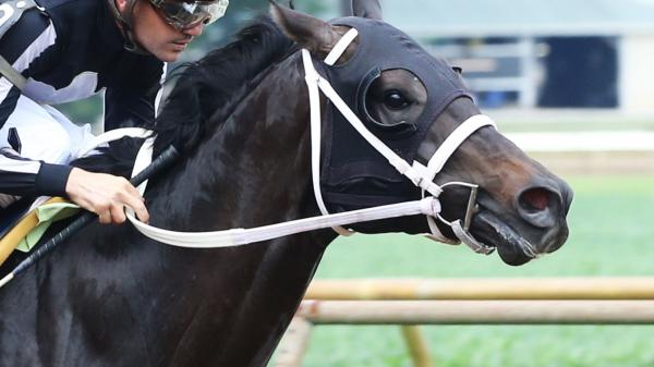 Roger McQueen | America's Best Racing