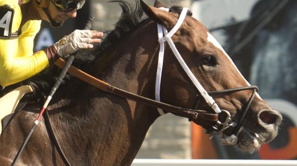 Rondure | America's Best Racing