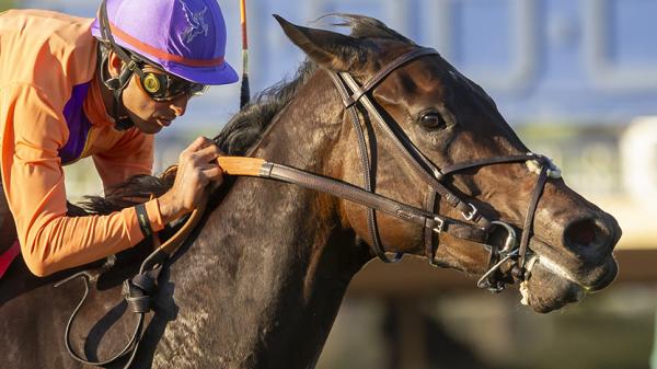 Ruby Nell | America's Best Racing