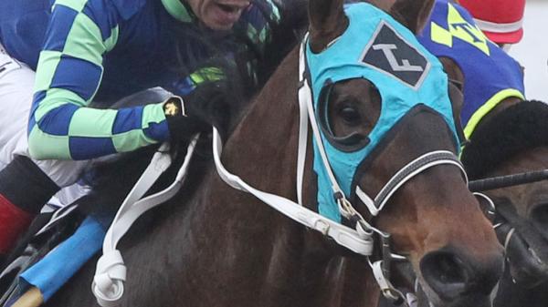 Sheriff Brown | America's Best Racing